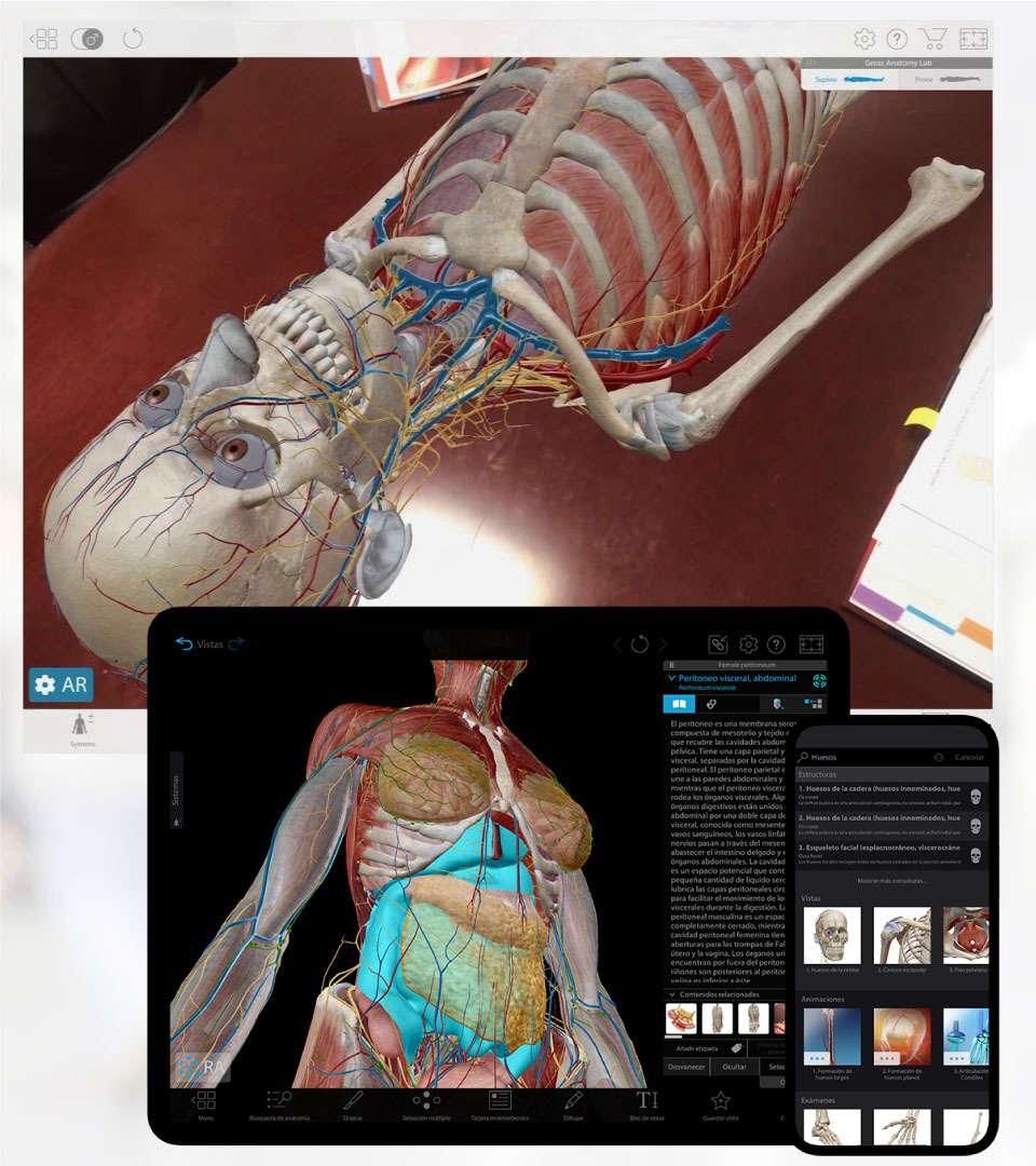 Nuestras Plataformas – b-1tech