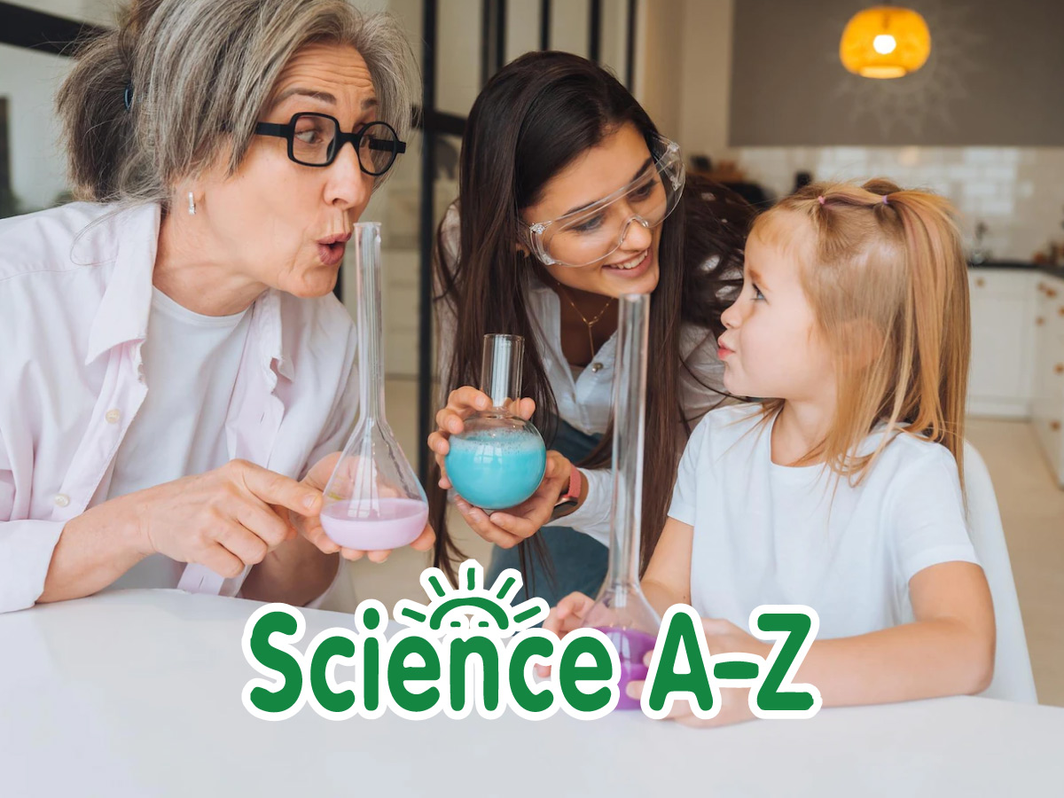 learningaz – b-1tech